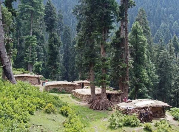 Keran Valley Kashmir Tour Guide | Best Time, How to Reach & Things to Do