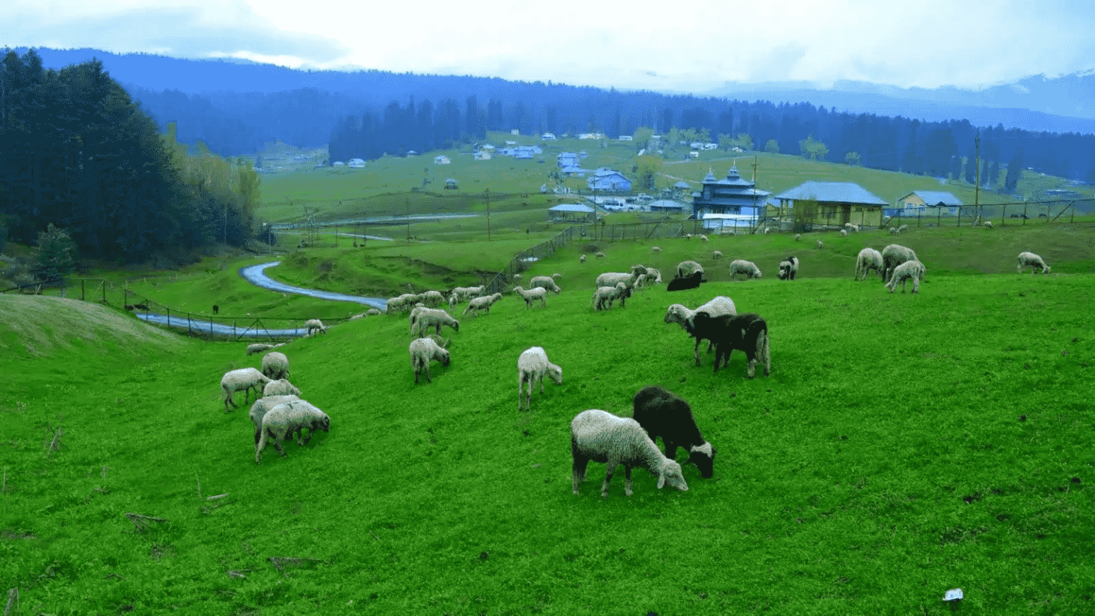 Kokernag, Kashmir: Explore Stunning Gardens & Springs