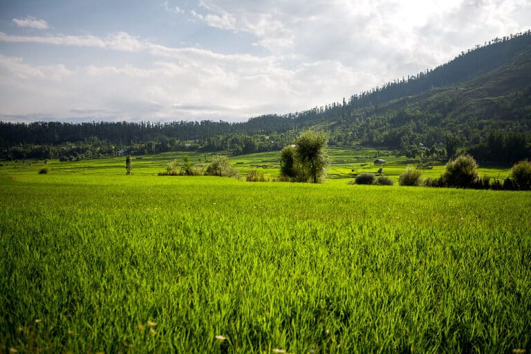Keran Valley Kashmir Tour Guide | Best Time, How to Reach & Things to Do
